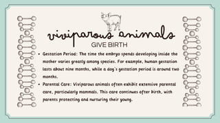 Pregnancy in animals and classification. | PPT