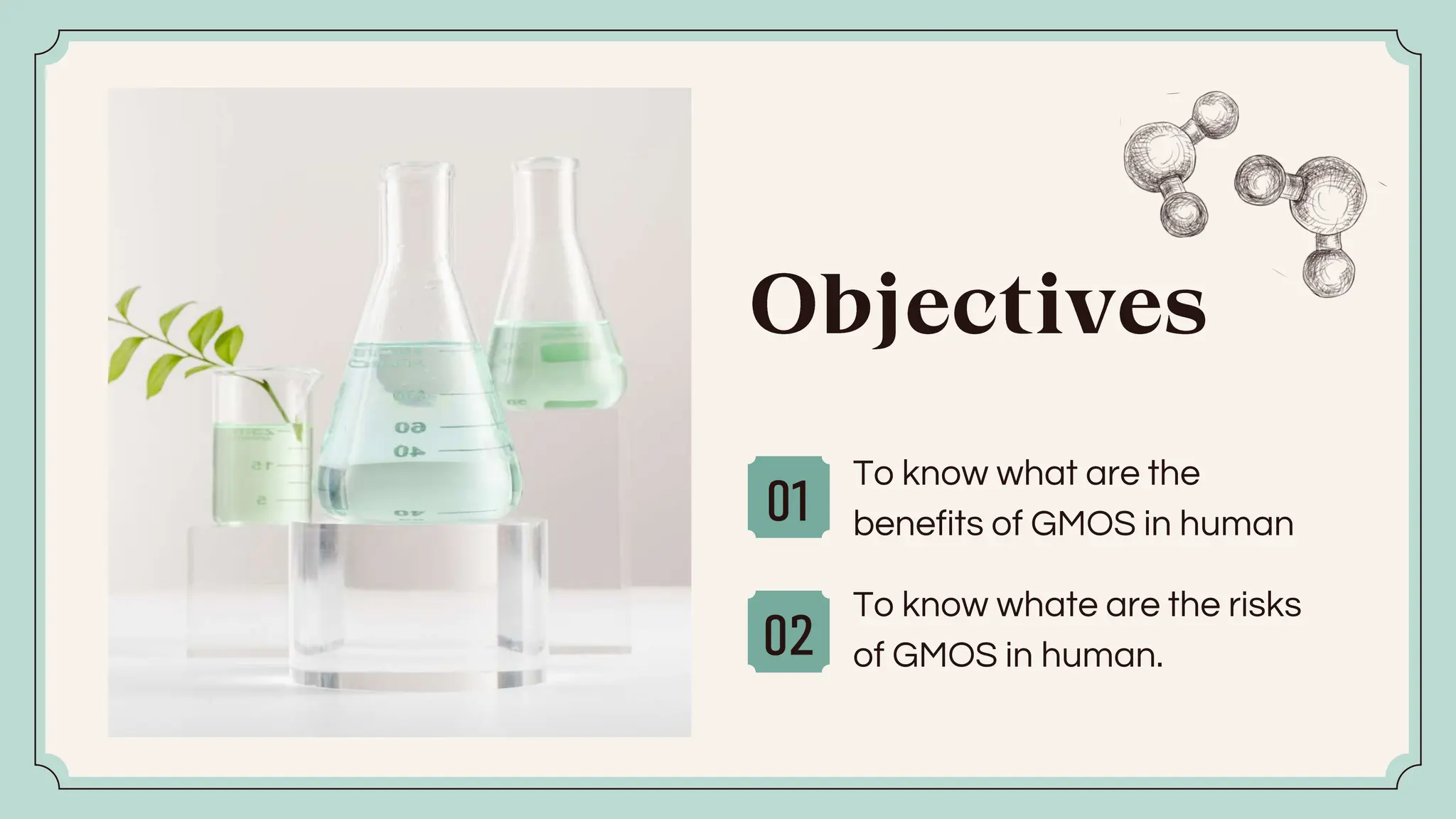 Risk and Benefits of GMO in Human | PPTX