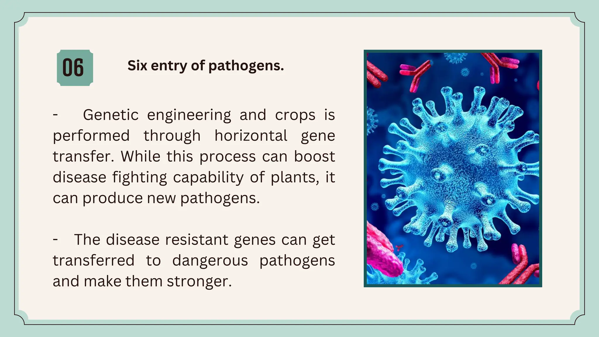 Risk and Benefits of GMO in Human | PPTX