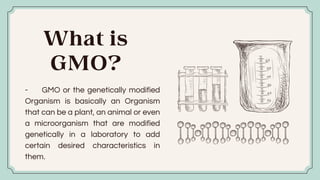 Risk and Benefits of GMO in Human | PPTX