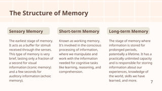 Education Learning Psychology Presentation.pptx