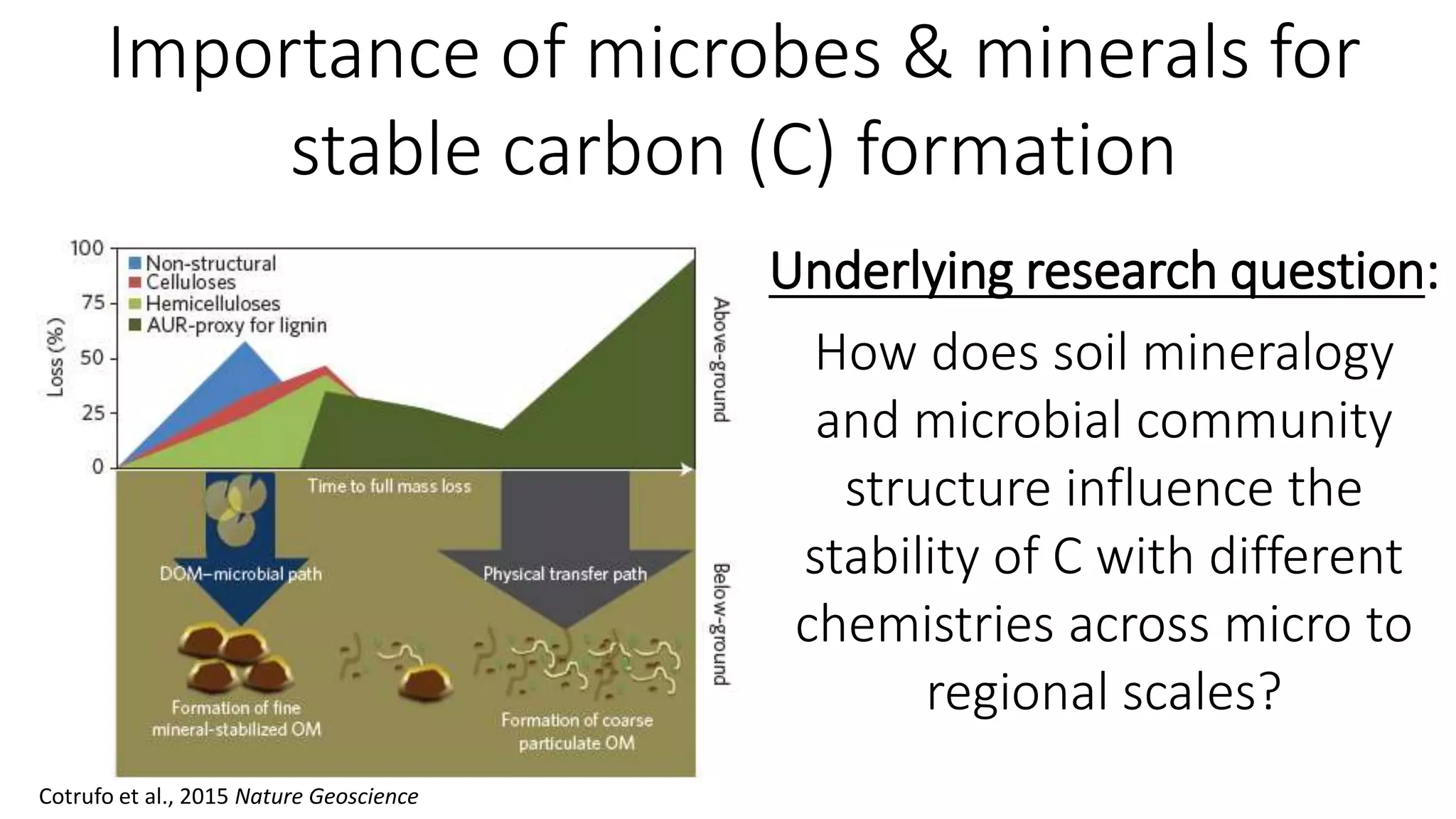 Microbe-mineral interactions and the fate of soil carbon | PPTX