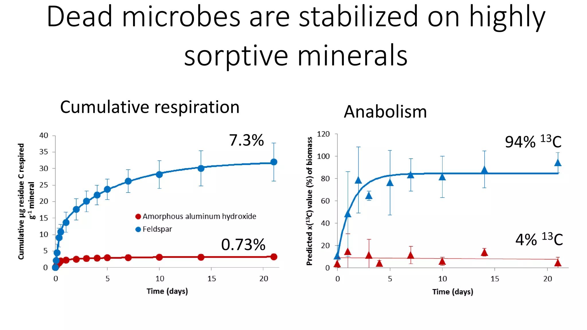 Microbe-mineral interactions and the fate of soil carbon | PPTX