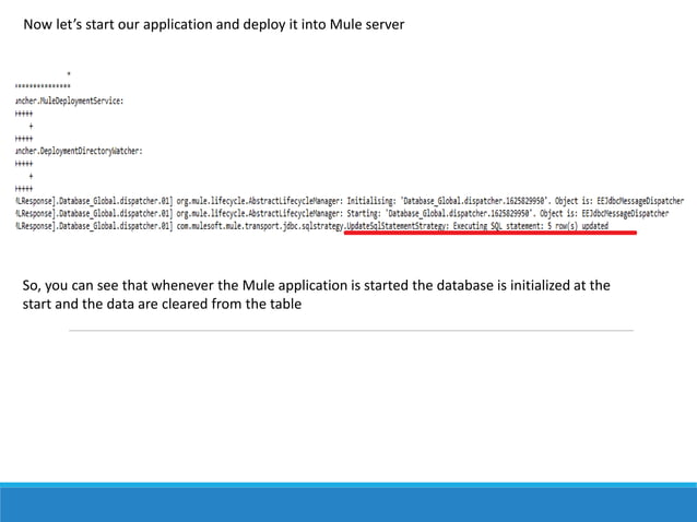 Create Database With Mule Ppt
