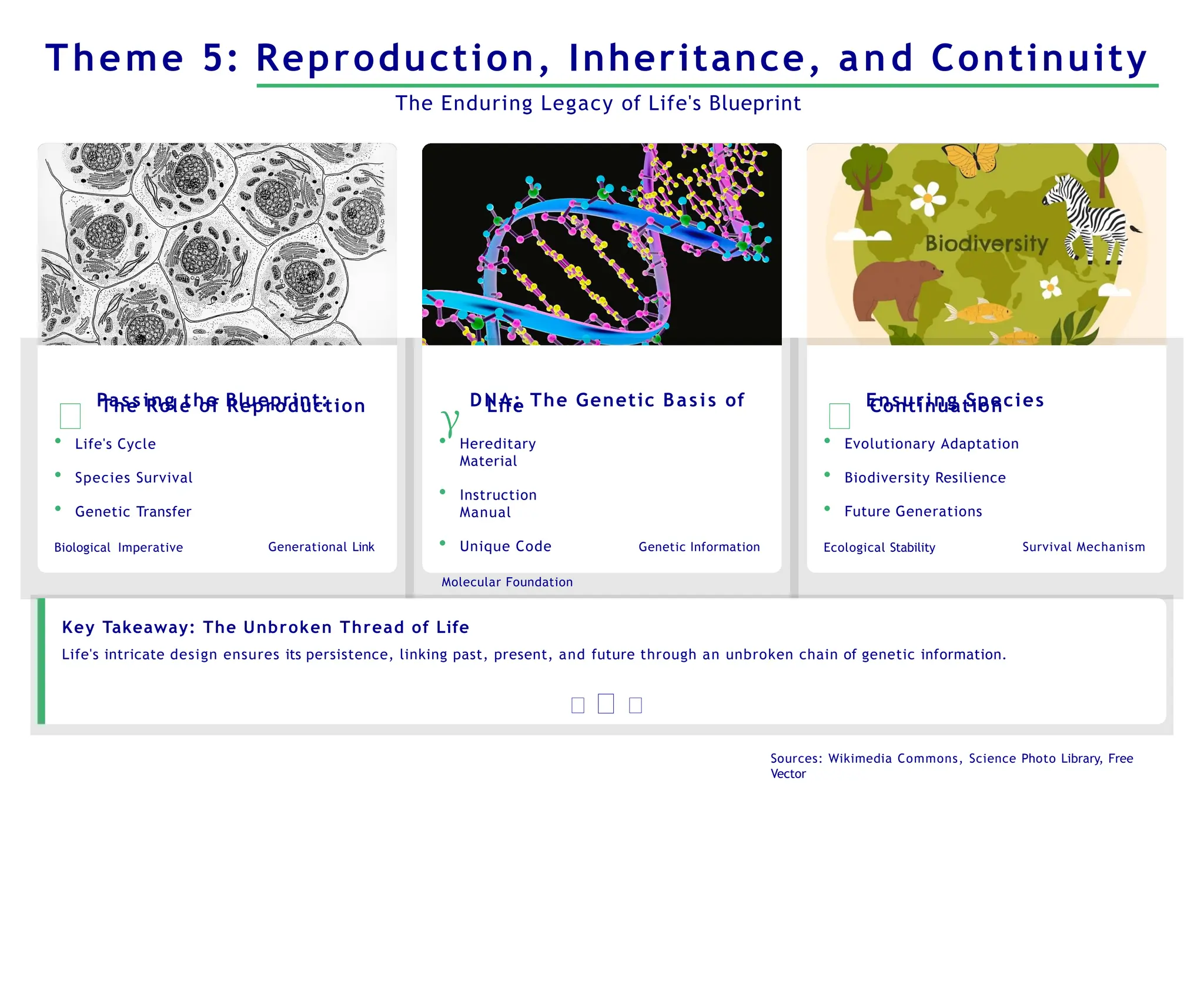 Unifying themes with the study of Life_.pptx
