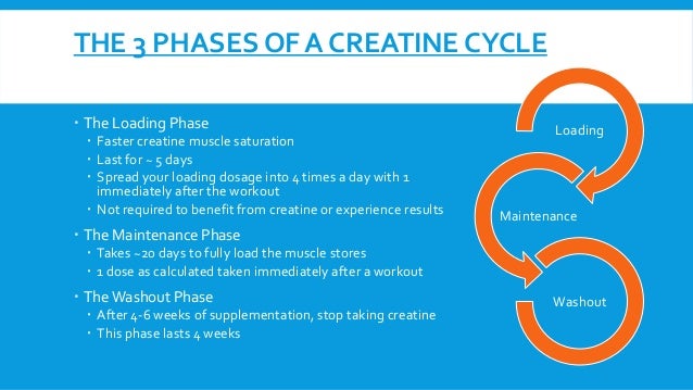 Creatine How Does Creatine Work And The Facts Behind The 1 Sports S…