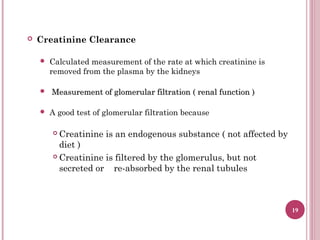 Creatine | PPT