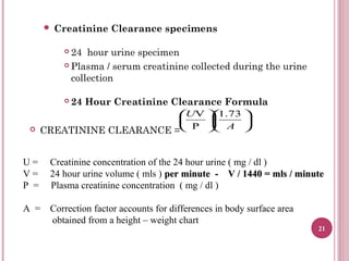 Creatine | PPT