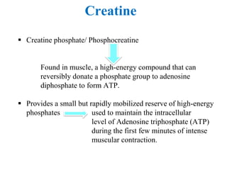 CREATINE AND GLUTATHIONE METABOLISM, STEPS AND CLINICAL ASPECTS | PPTX