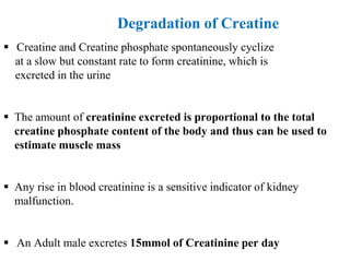 CREATINE AND GLUTATHIONE METABOLISM, STEPS AND CLINICAL ASPECTS | PPTX