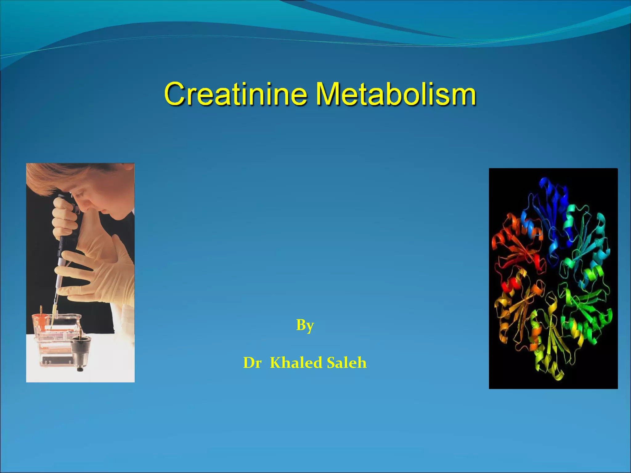 Creatine metabolism | PPT