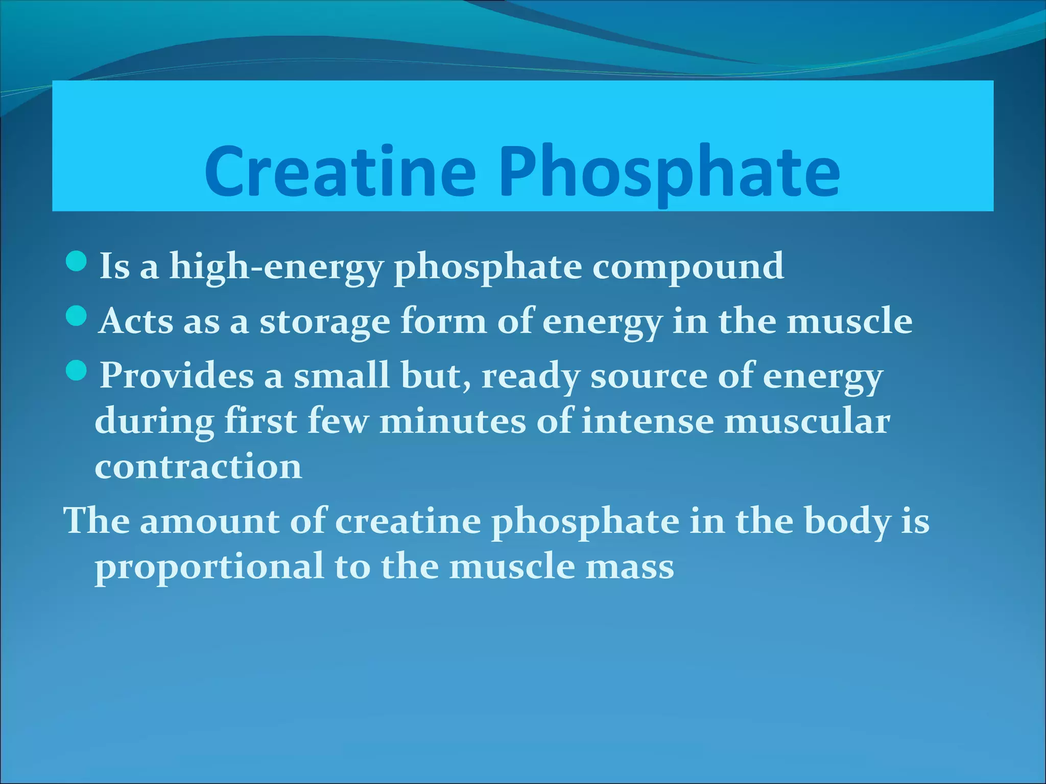Creatine metabolism | PPT