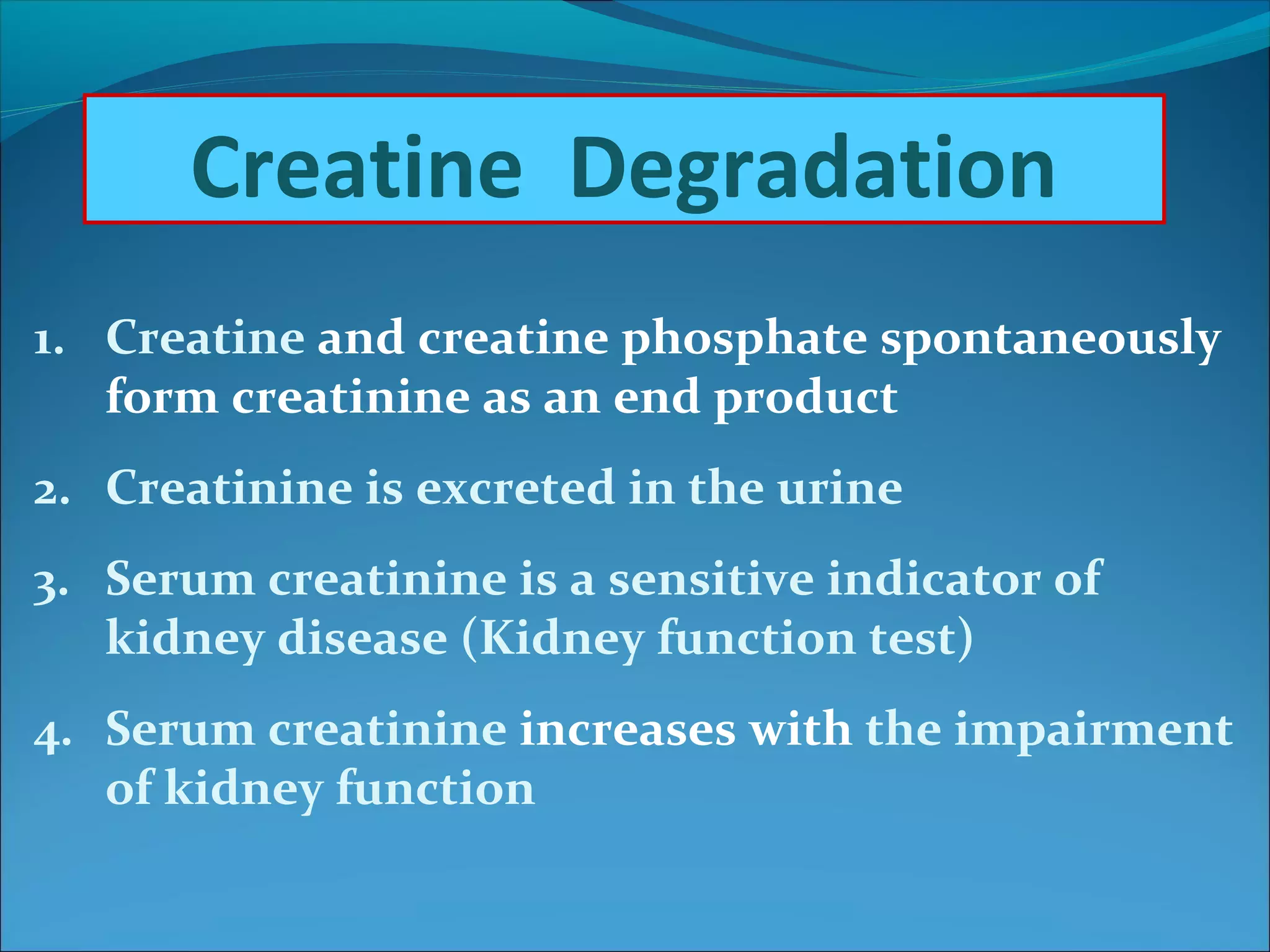 Creatine metabolism | PPT