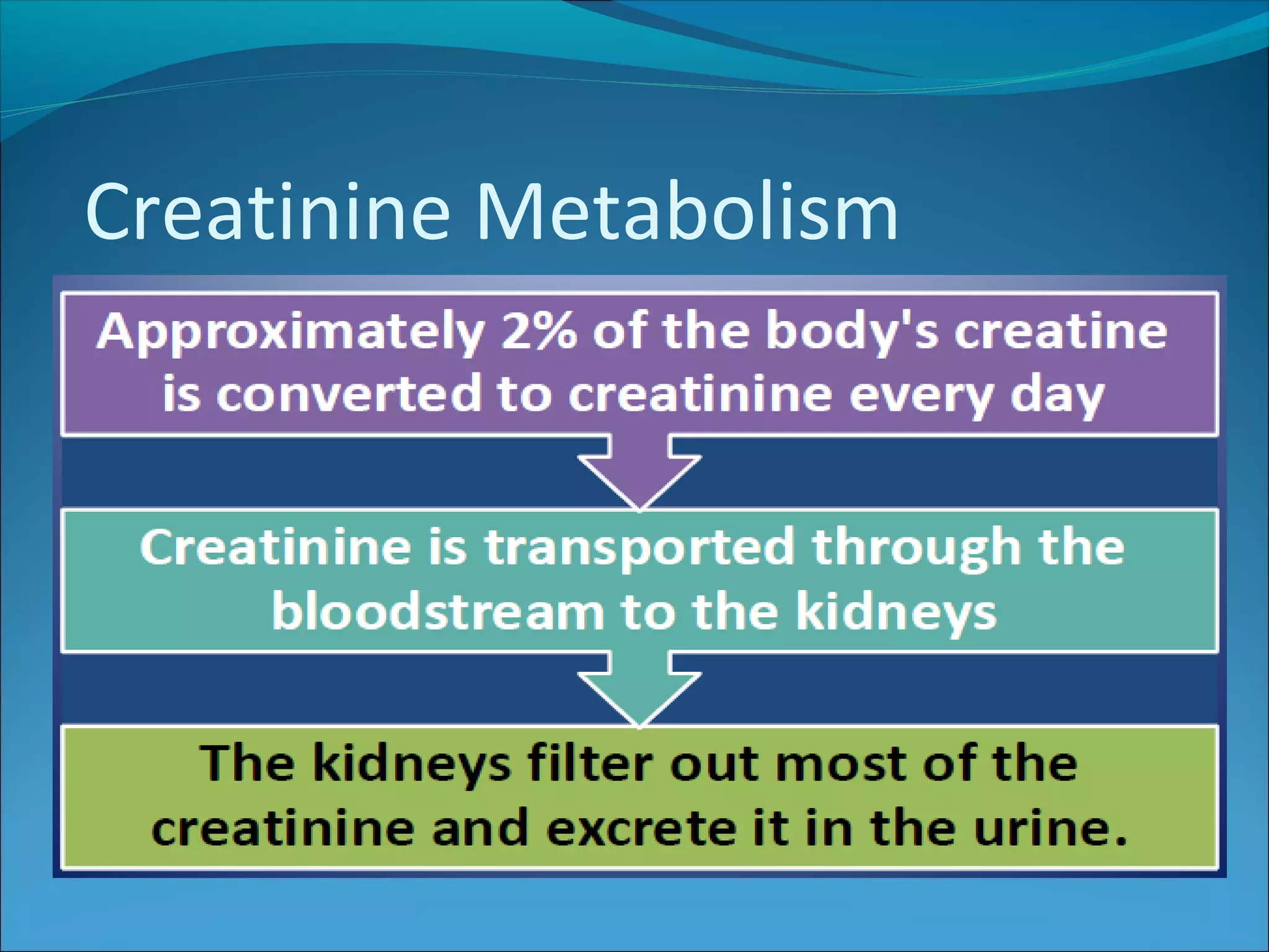 Creatine metabolism | PPT