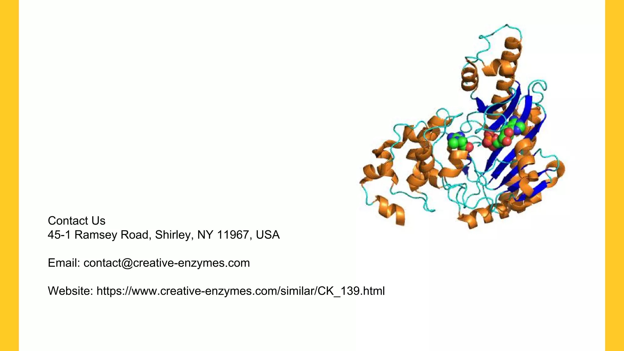 Creatine Phosphokinase - Creative Enzymes | PDF