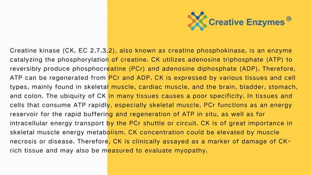 Creatine Phosphokinase - Creative Enzymes | PDF