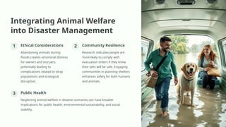 Creating-Safe-Havens-for-Strays-During-Disasters (1).pptx