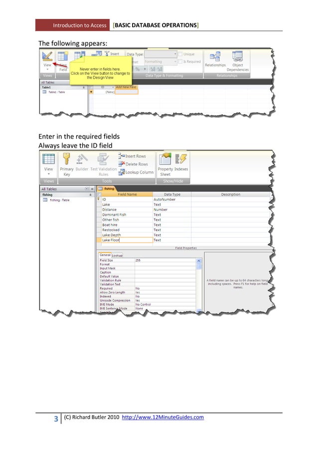 Creating a basic database access 2007 ecdl | PDF