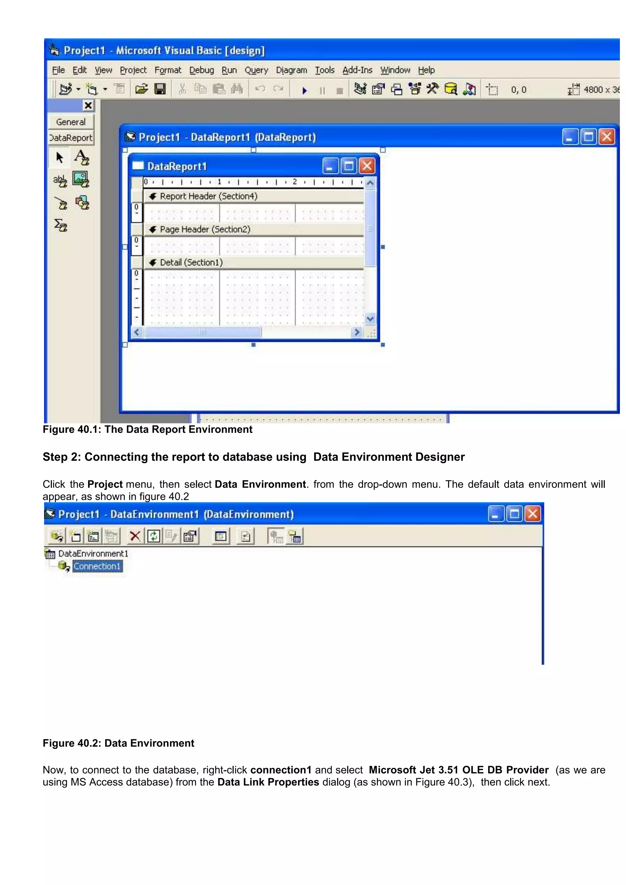 Creating a data report in visual basic 6 | DOCX