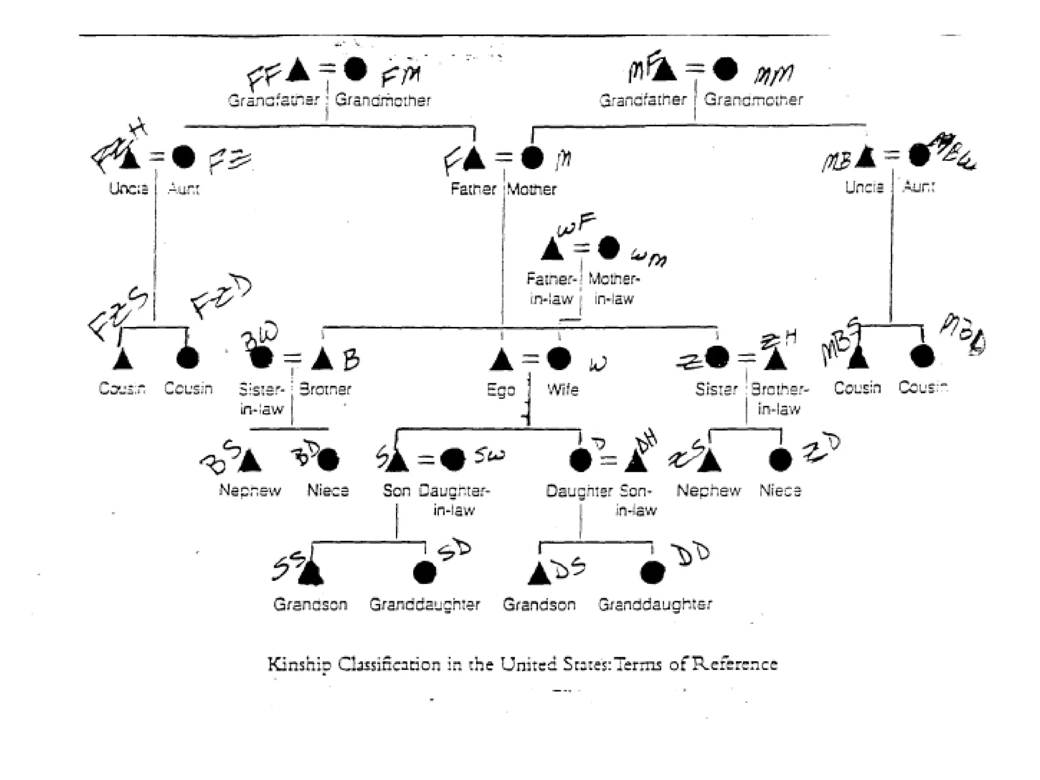 Creating a kinship chart | PPTX