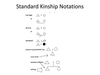 Creating a kinship chart | PPTX