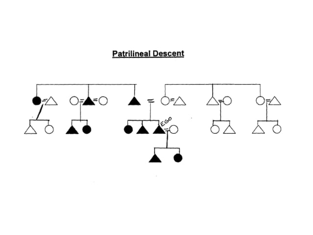 Creating a kinship chart | PPTX