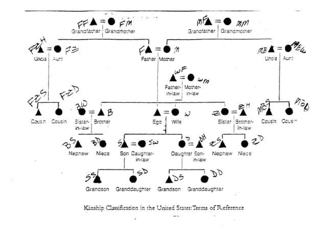 Creating a kinship chart | PPTX