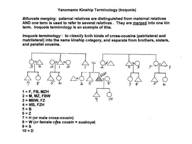 Creating a kinship chart | PPTX