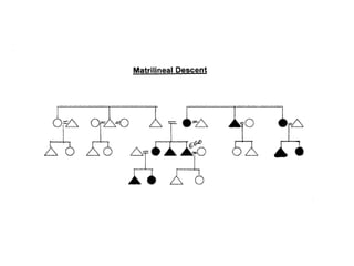 Matrilineal Chart