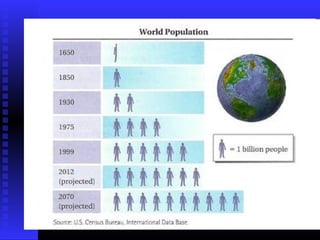 CLASS V MATHS PICTOGRAPH | PPT