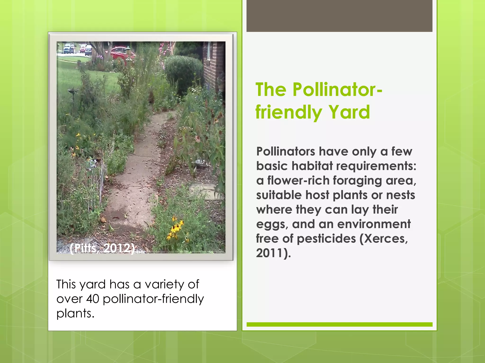 Creating a pollinator friendly yard | PDF