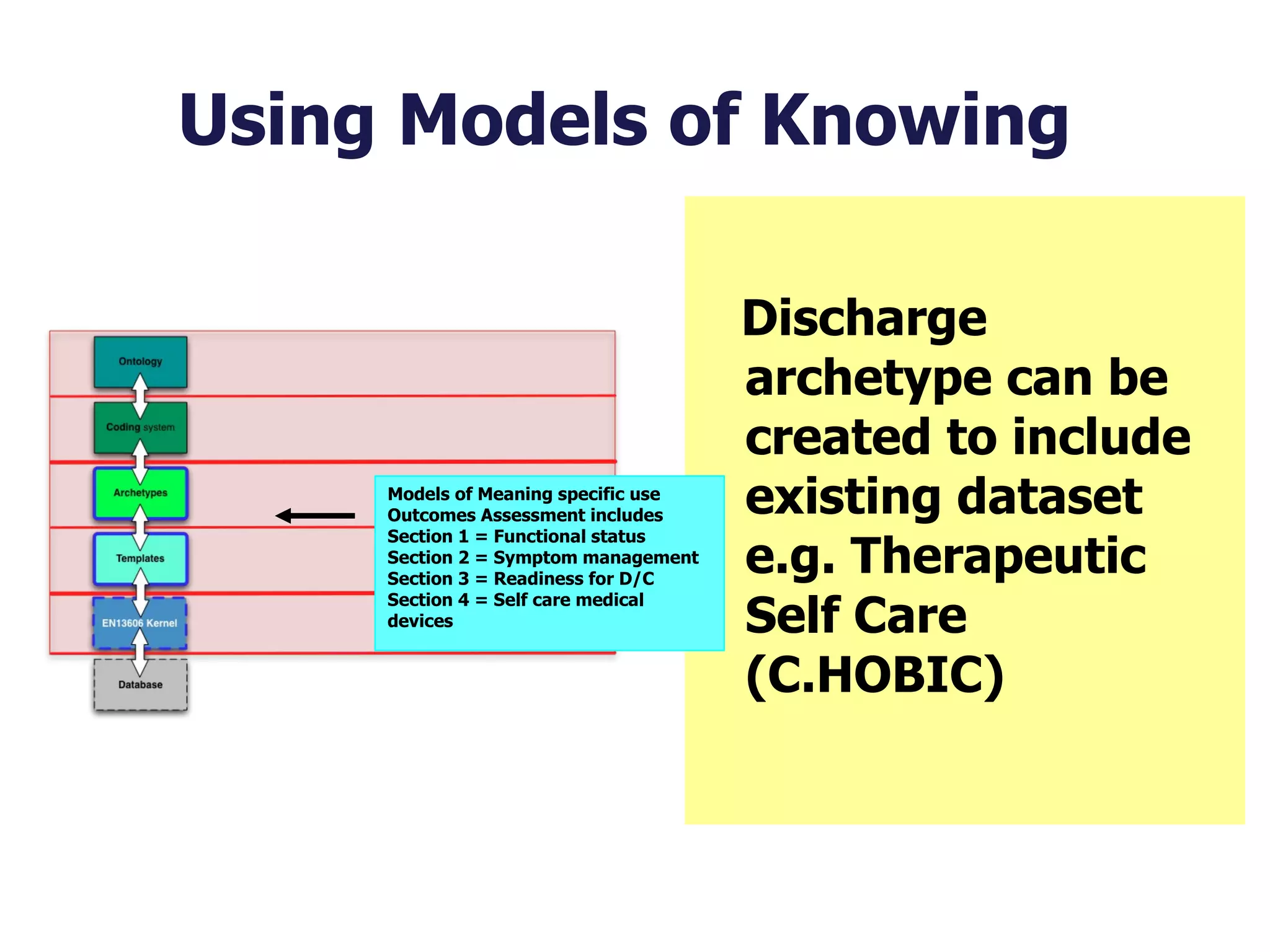 Creating Archetypes For Patient Assessment With Nurses To Facilitate ...