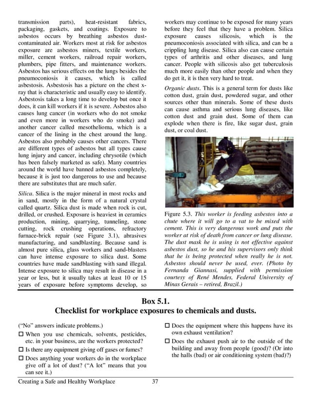 Creating a Safe and Healthy Workplace - OHS Guide | PDF