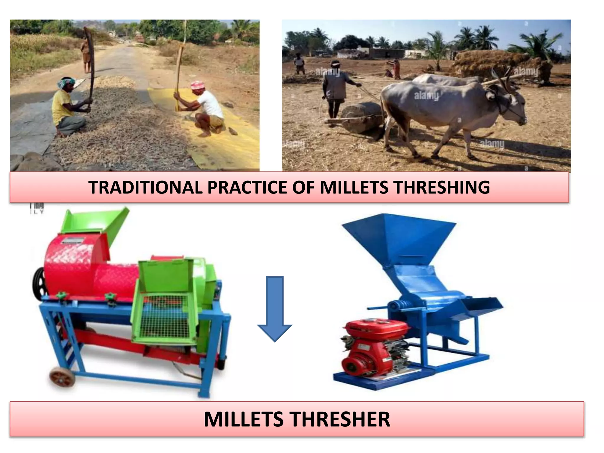 “Creating Awareness about Millets.pptx