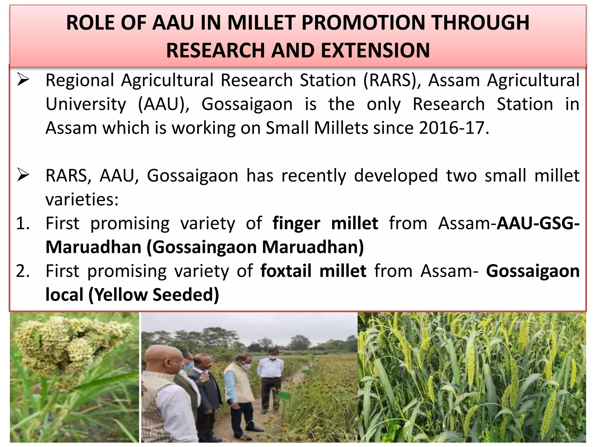 “Creating Awareness about Millets.pptx