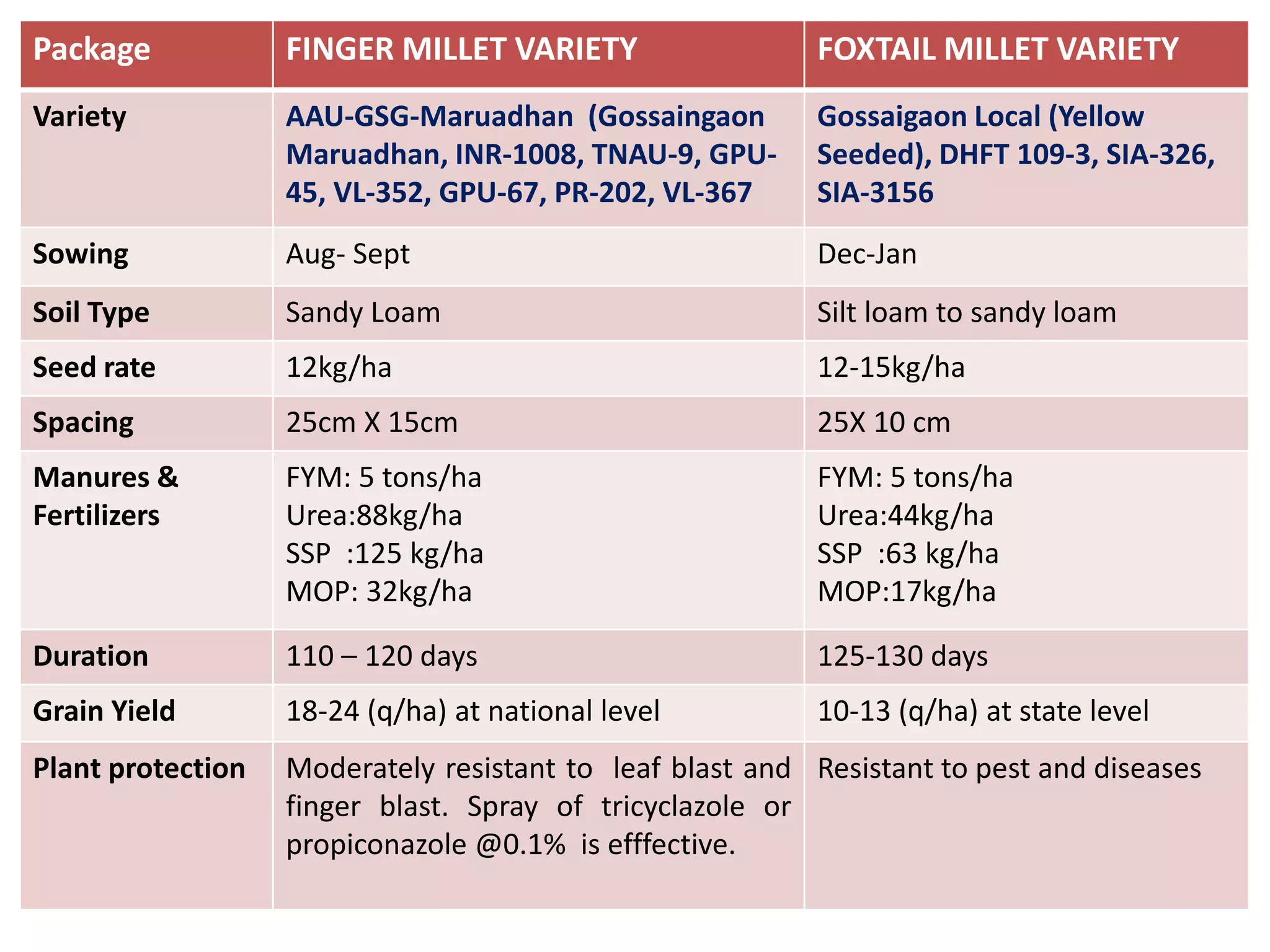 “Creating Awareness about Millets.pptx