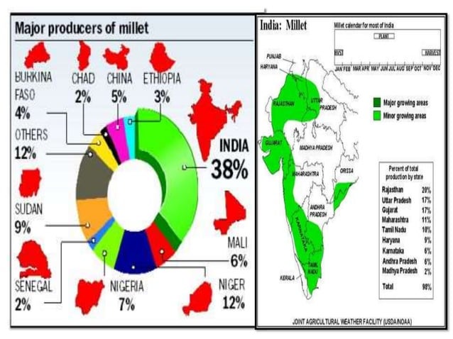 “Creating Awareness about Millets.pptx