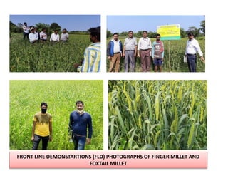 “Creating Awareness about Millets.pptx