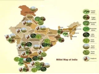“Creating Awareness about Millets.pptx