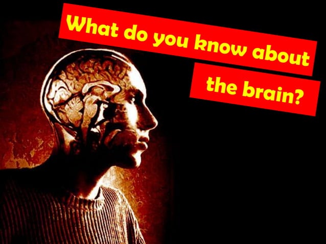 Science Of The Brain: New Ways To Engage Adult Learners