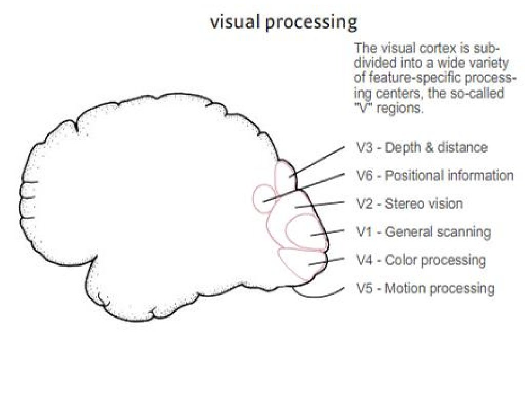 Science Of The Brain: New Ways To Engage Adult Learners