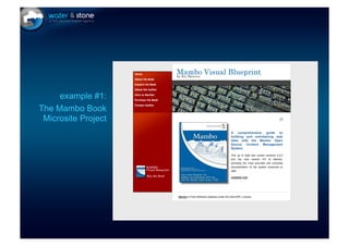 Creating Compelling Microsites | PDF