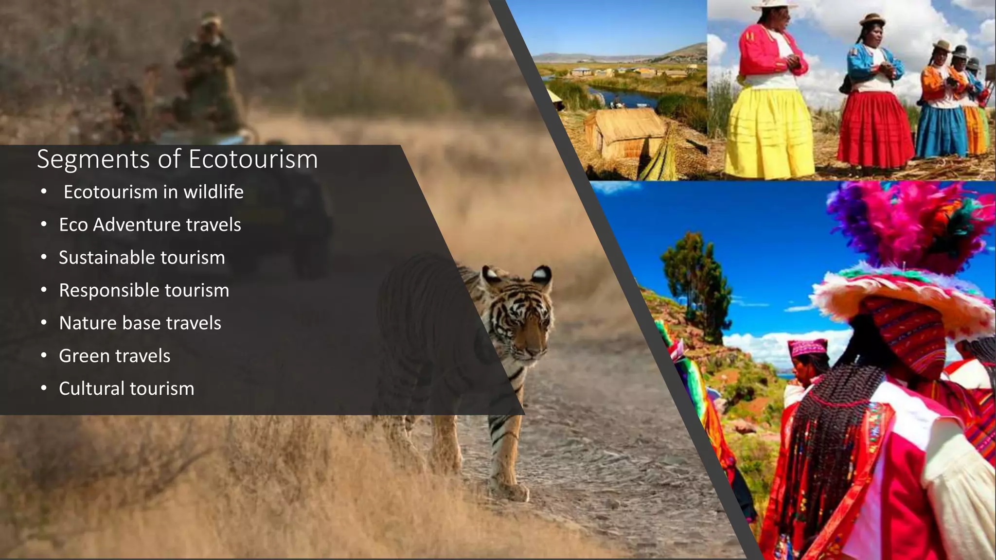 Creating environmental awareness through ecotourism | PPTX