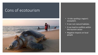 Creating environmental awareness through ecotourism | PPTX