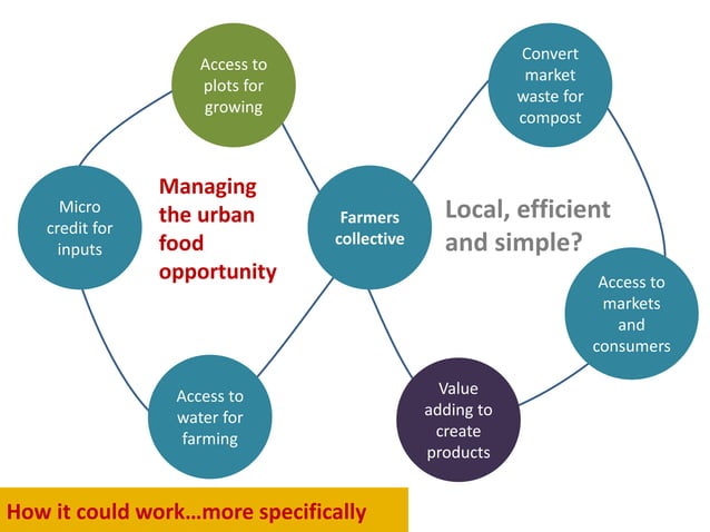 Creating food centric urban opportunities—Social equity for food ...