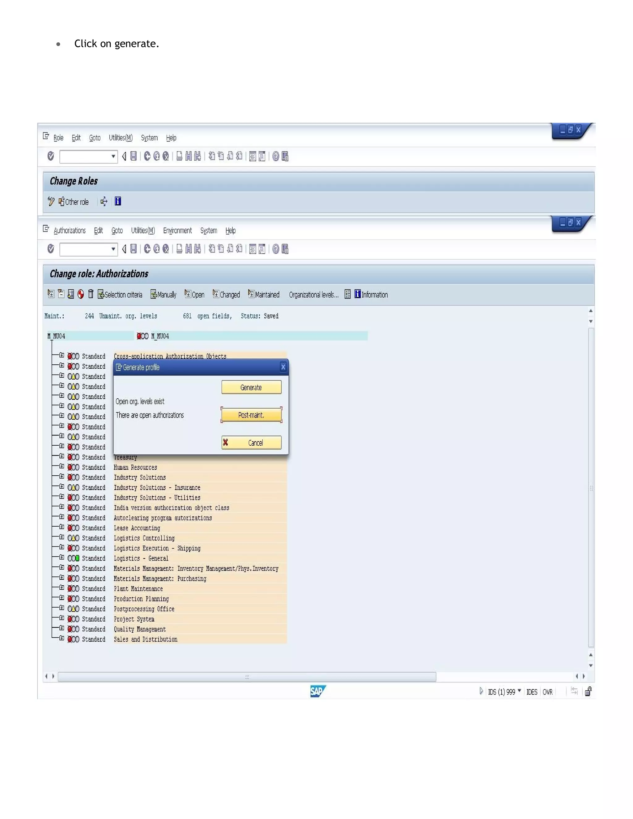 Creating new users and roles in sap guide | PDF