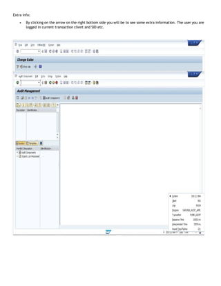 Creating new users and roles in sap guide | PDF
