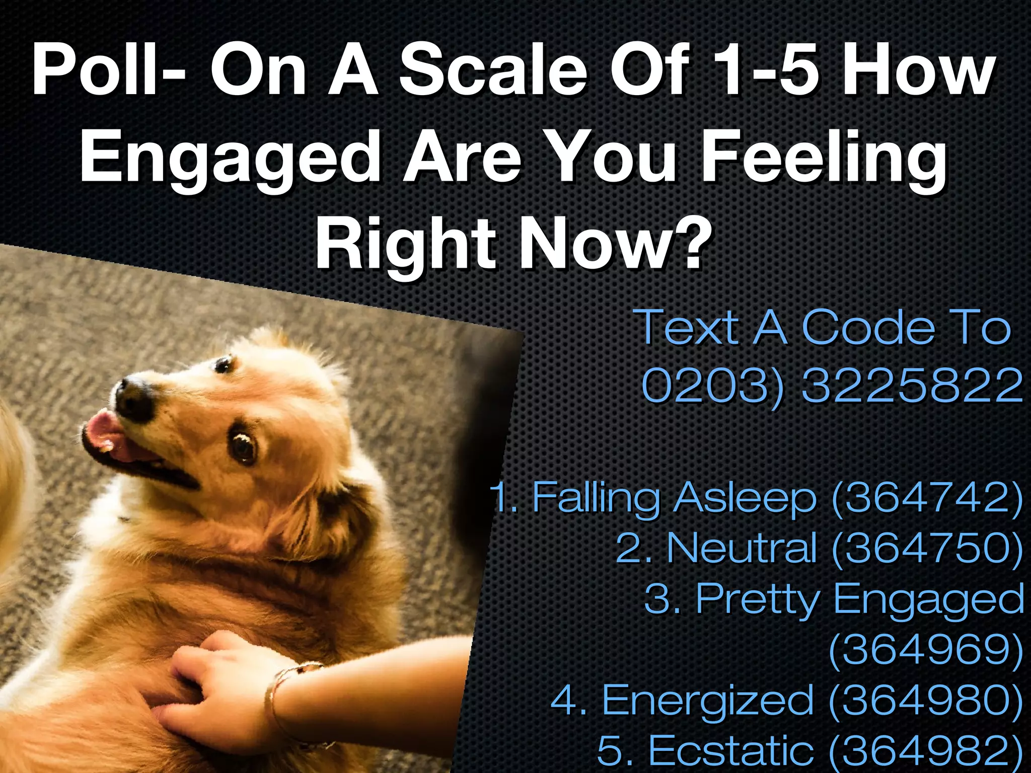 Conferences- Creating Raving Fans | PPT