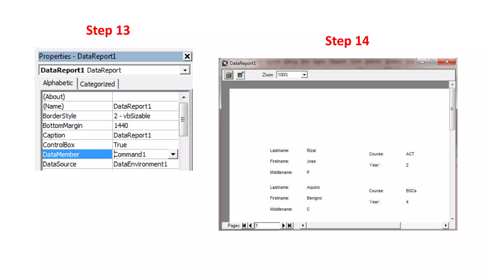Creating Reports in VB6 using MS Access | PPTX