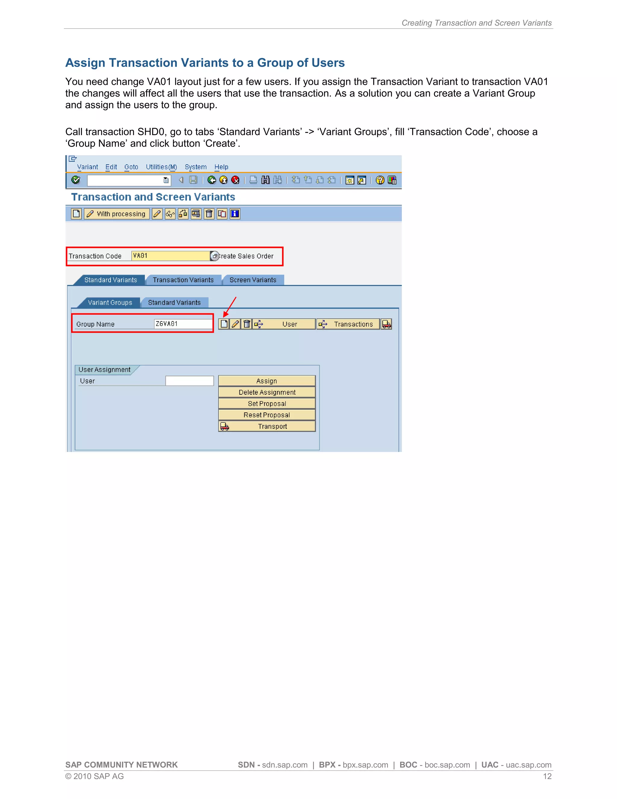 Creating transaction and screen variants | PDF